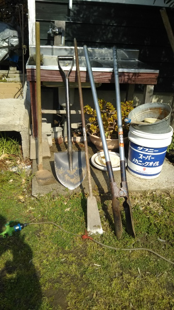 松の木移植: 愚理夢園通信2